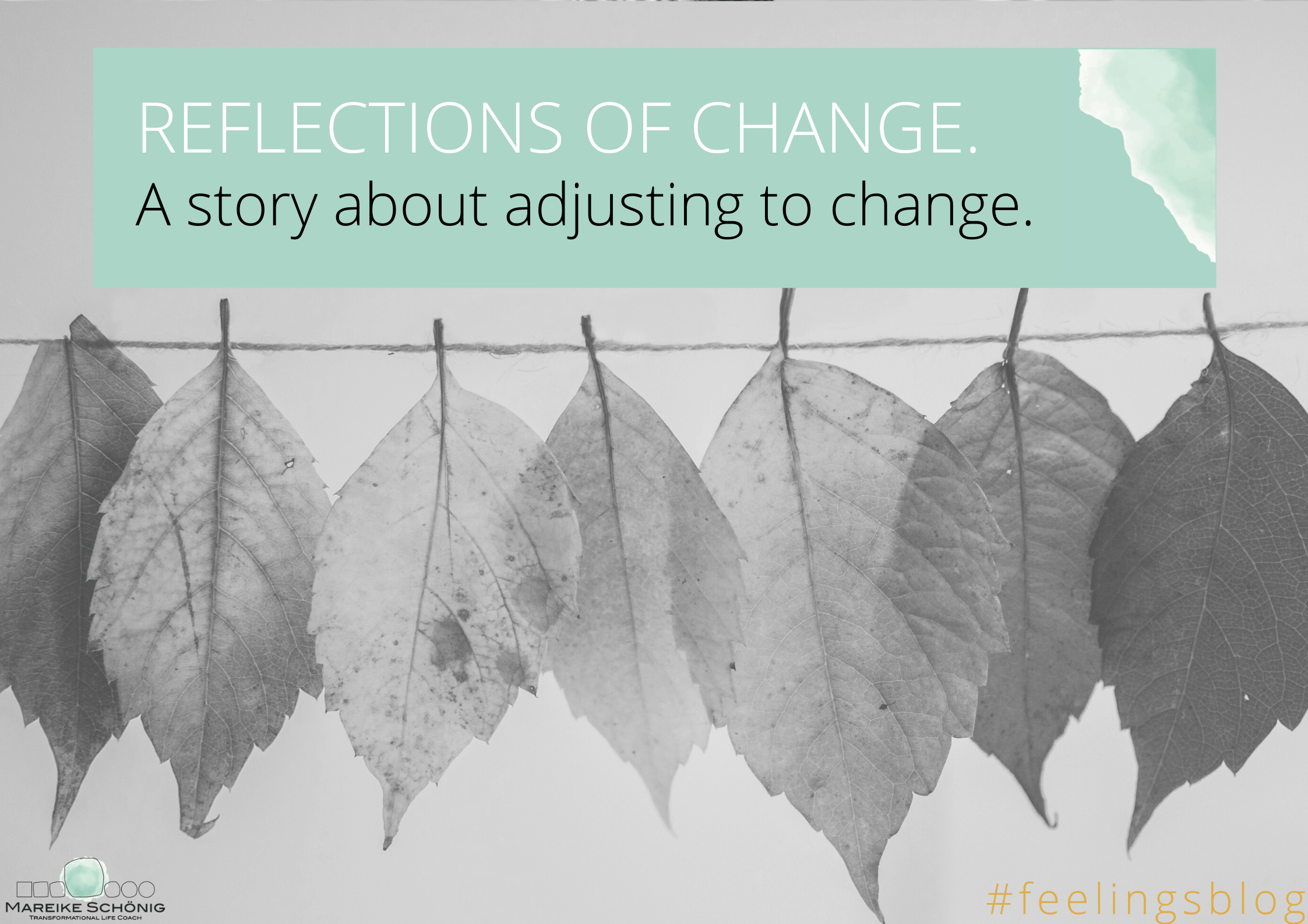 Reflections of change - Mareike Schönig Coaching
